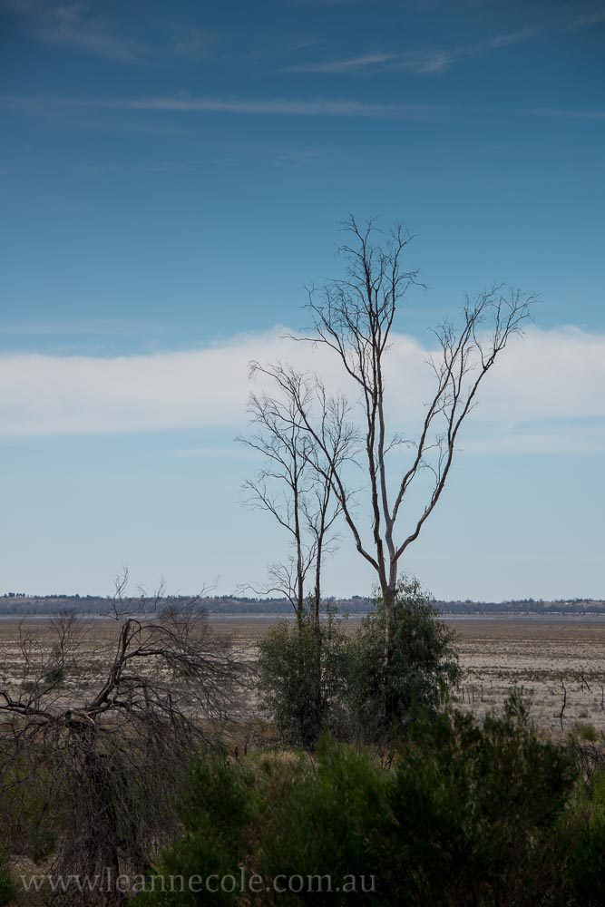 A Quick Look at Lake Albacutya – LEANNE COLE