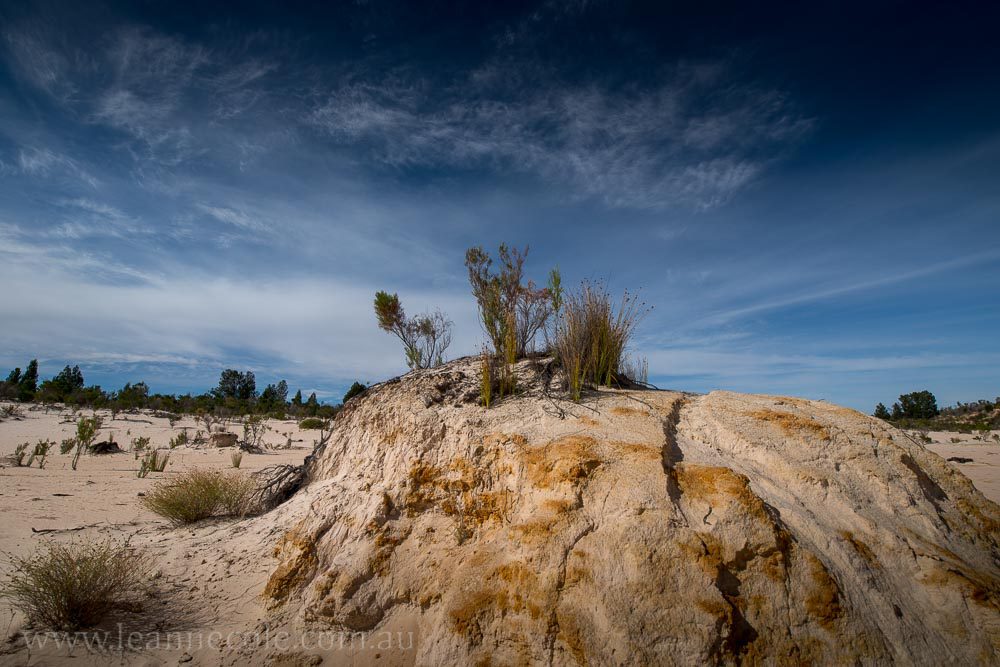 A Quick Look at Lake Albacutya – LEANNE COLE