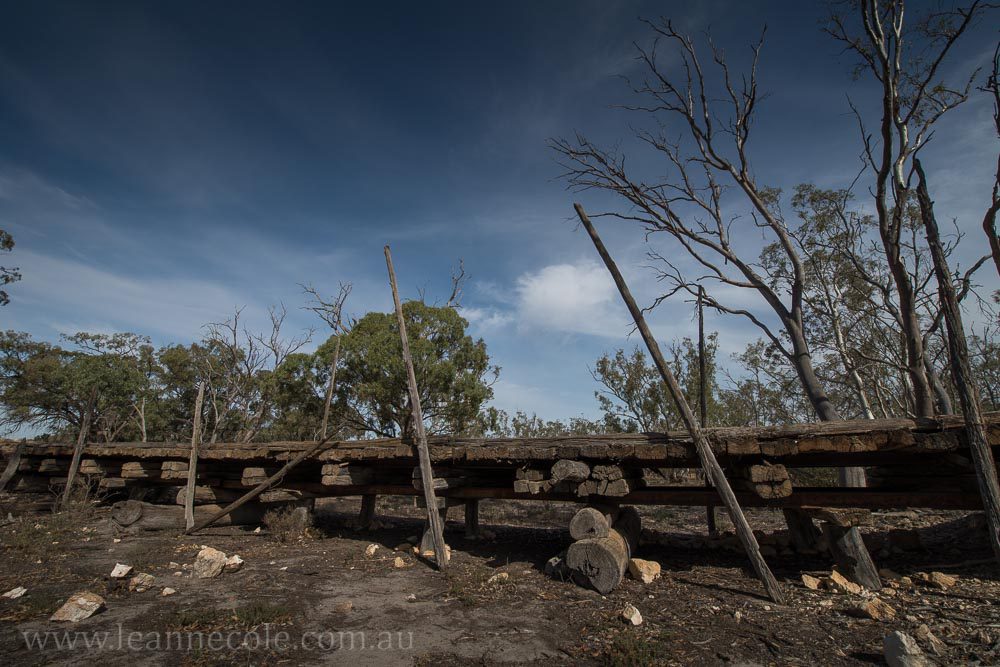 A Quick Look at Lake Albacutya – LEANNE COLE