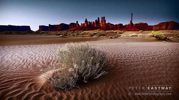 Introducing artists that I admire – Peter Eastway – LEANNE COLE