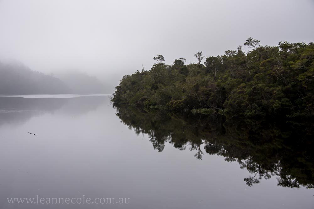 Silent Sunday – Boat cruise on the Gordon River – LEANNE COLE