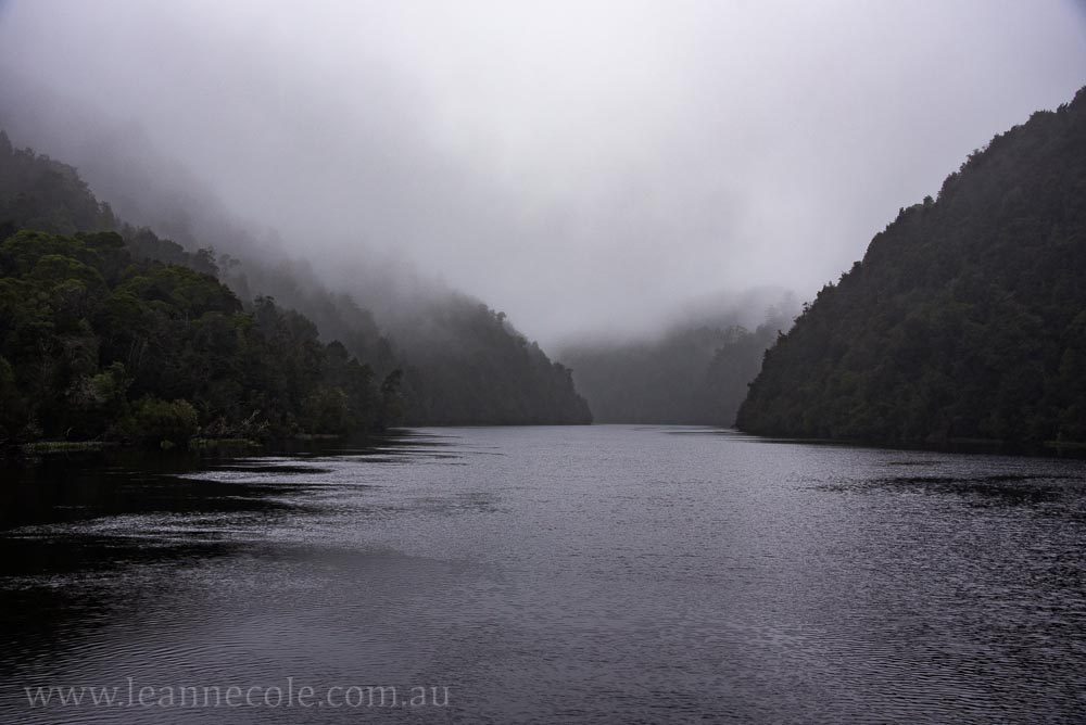 Silent Sunday – Boat cruise on the Gordon River – LEANNE COLE