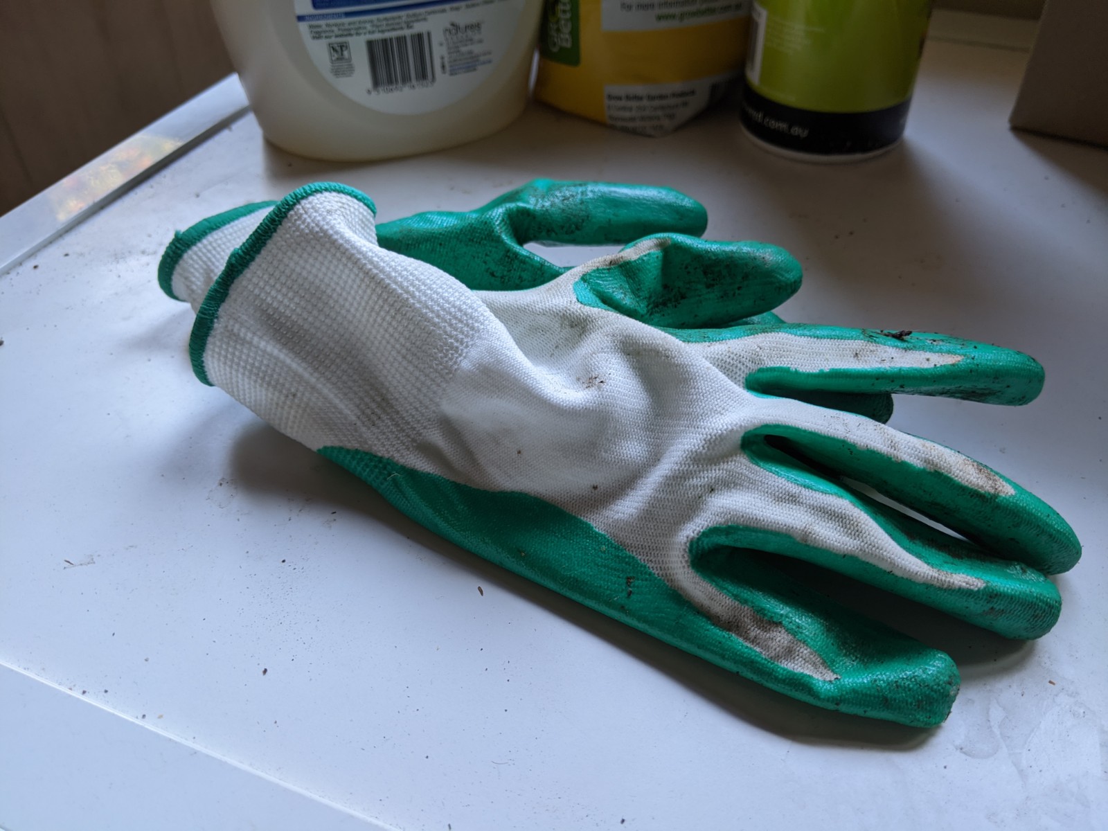 Using my gardening gloves – LEANNE COLE