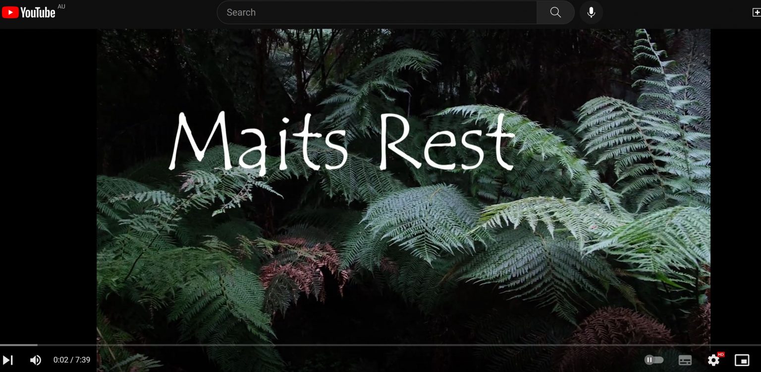 Walking around a rainforest – Maits Rest – LEANNE COLE