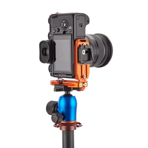 LEXIE-C-18637 – LEANNE COLE